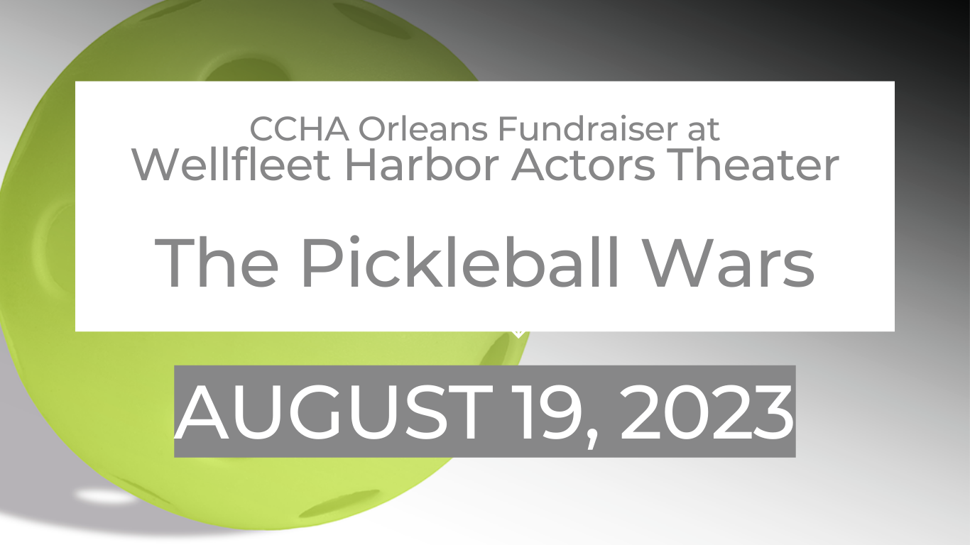 August 19, 2023 | The Pickleball Wars Fundraiser at Wellfleet Harbor ...